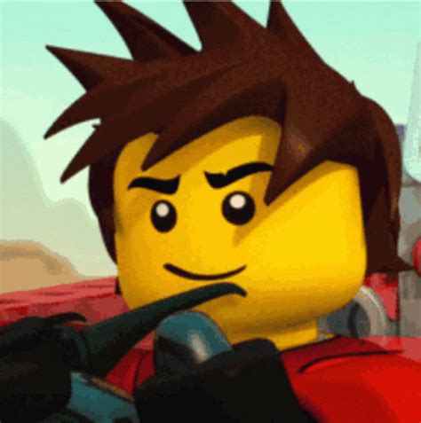 Look Ninjago Lego Cat Discover Share Gifs My XXX Hot Girl