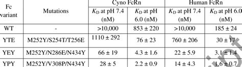 Ph Dependent Binding Affinities Of Antibody Fc Variants To Human And Download Table