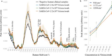 3a Shows The Mean Raman Spectra Of Sars Cov 2 In Nasal Swab Samples Download Scientific