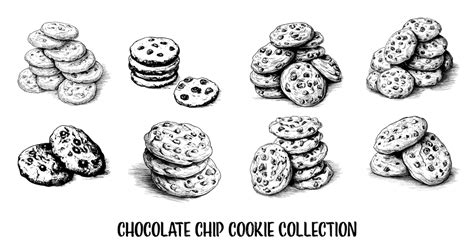 Premium Vector Collection Of Drawn Choco Chip Cookies