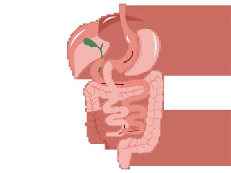 Duodenal Switch Surgery Certified Bariatric Surgeons