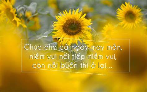 50 Lời Chúc Bình An May Mắn Vạn Sự Như ý Cho Mọi Người