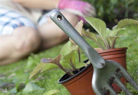 Nottinghamshire Wildlife Trust Explain Why The Ban On Sales Of Peat