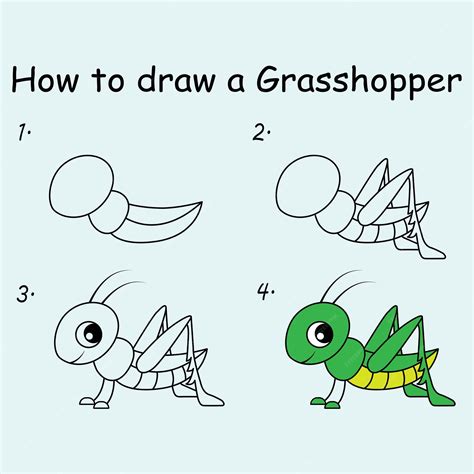 Premium Vector Step By Step To Draw A Grasshopper Drawing Tutorial A Grasshopper Drawing