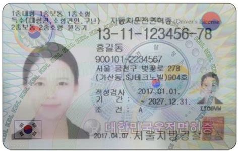 운전면허 따려고 ‘교육용 차량으로 연습하다 역대급 사고 낸 ‘왕초보 운전자 인사이트