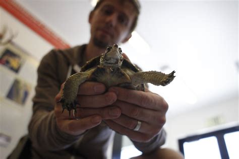Oakland Zoo Center To Save Amphibians Reptiles