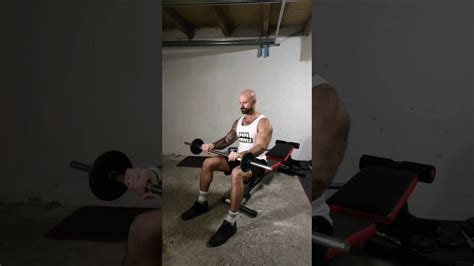 Curl Inversé Assis Barre Seated Barbell Reverse Curl VidÉo Papa