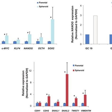 Examination Of Stem Cell Markers And Emt Related Mrna Expression By