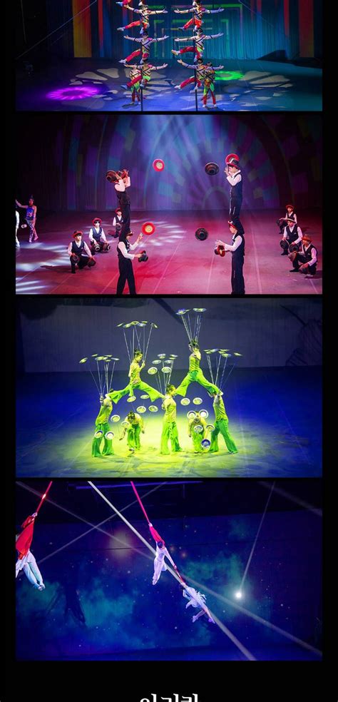 제주 아트서커스 제주 이색 공연 트리플 투어티켓