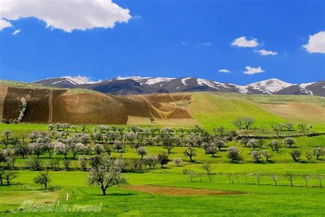 دیدنی‌ترین کوهستان های ایران کدامند؟ علاءالدین تراول