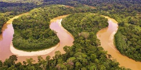 Hutan Amazon Yang Penuh Misteri Berani