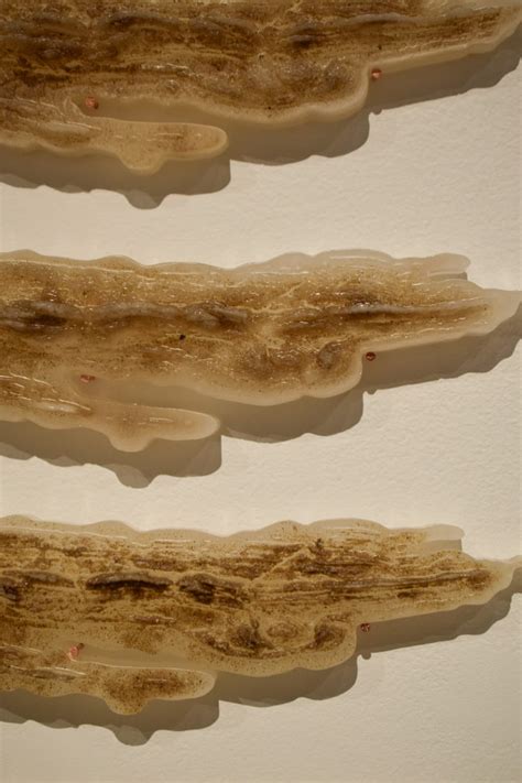 Thomas Hendricks Ba And Bfa Capstone Exhibition