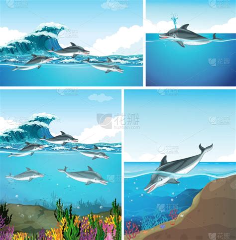 海豚在海里游泳