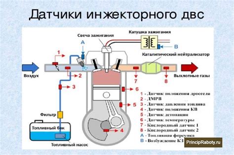 Устройство инжектора бензинового двигателя