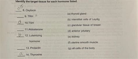 Solved Identify The Target Tissue For Each Hormone Listed