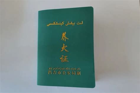 昌吉首证发放！养犬居民请速来办理腾讯新闻