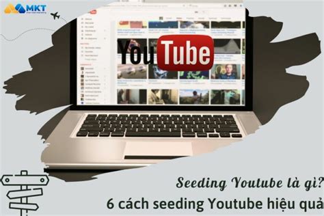 Seeding Youtube Là Gì 6 Cách Seeding Youtube Hiệu Quả Nhất