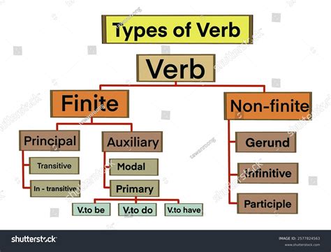 Hand Drawn Picture Types Verb Classification Stock Illustration