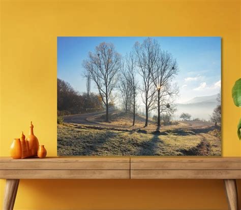 Leafless Trees On Hills 5mm Thick Plastic Poster Ready To Hang 60x45cm
