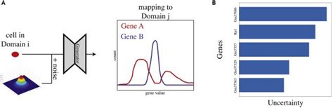 single cell multi modal gan reveals spatial patterns in single cell