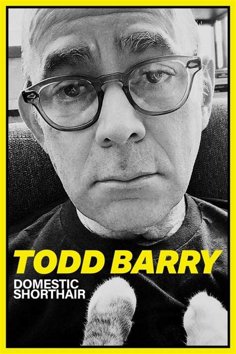 Todd Barry Domestic Shorthair 2023 — The Movie Database Tmdb