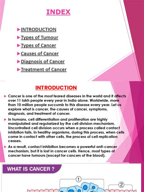 Bio Tp Pdf Cancer Metastasis
