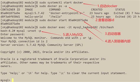 Docker安装MySQL docker mysql CSDN博客