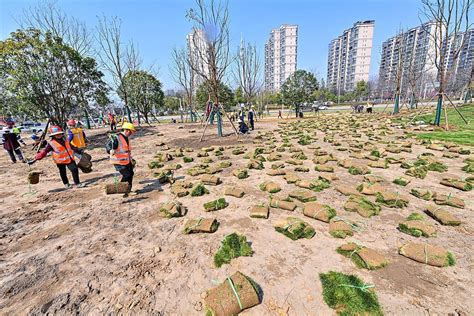 不负春光添绿忙 荆楚网 湖北日报网