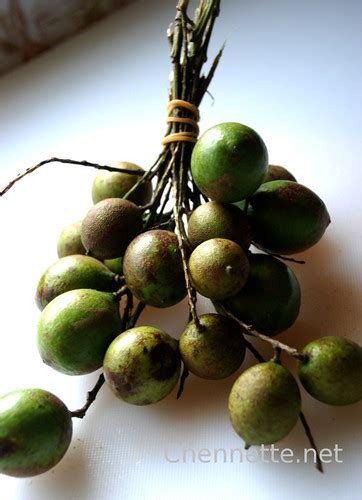 Chennette The Fruit The Fruit Which Gave Me My Idmy Flickr