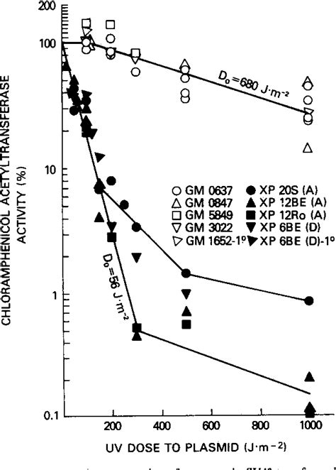 Figure 2 From One Pyrimidine Dimer Inactivates Expression Of A