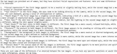 Python Image Analysis Using Llama 32 Vision Instruct Daniweb
