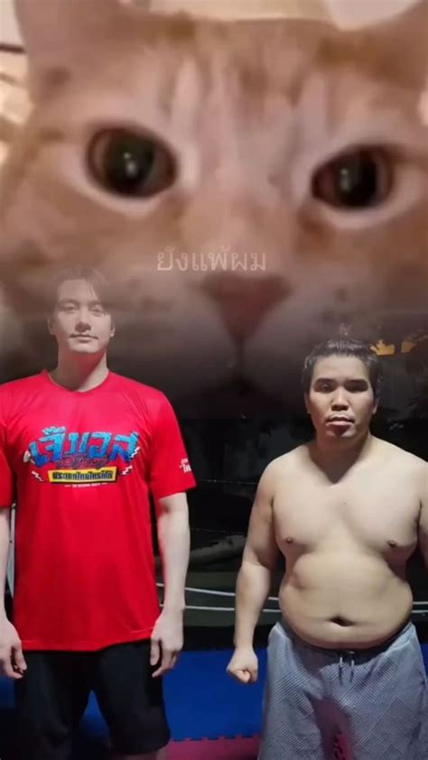 Cat React 😹funny Threads
