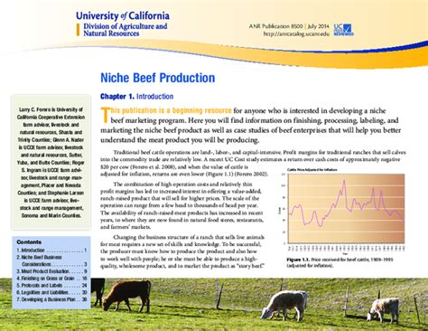 Pdf Niche Beef Production