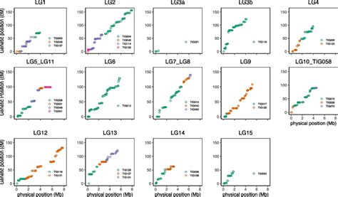 Plots Of Each Linkage Group In The Forced Order Linkage Map With