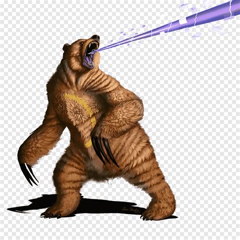 Grizzly Bear Pokemon
