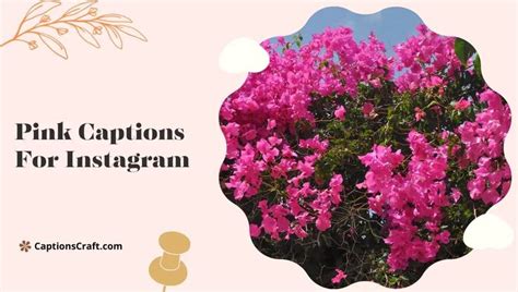 200 Pink Captions For Instagram The Ultimate Guide To Captivating