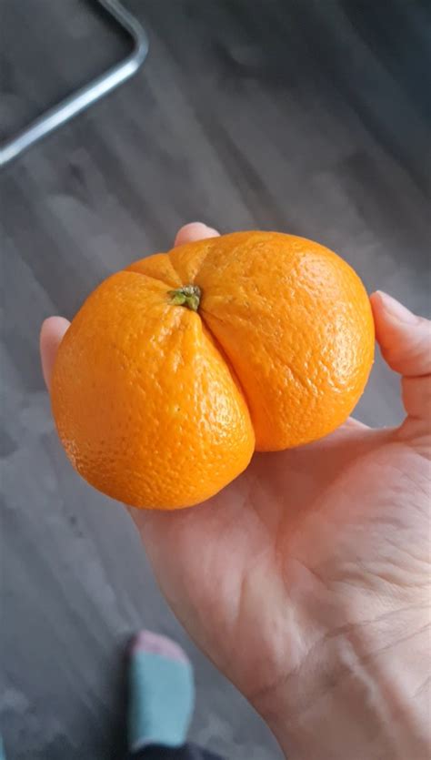 This Car Has A Comically Small Spoiler Under Its Comically Large Spoiler Rmildlyinteresting