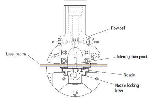 Flow Cytometry And Cell Sorting A Practical Guide