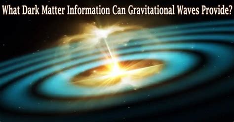 What Dark Matter Information Can Gravitational Waves Provide
