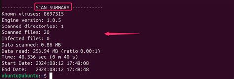 Install Configure And Scan For Viruses On Linux With ClamAV