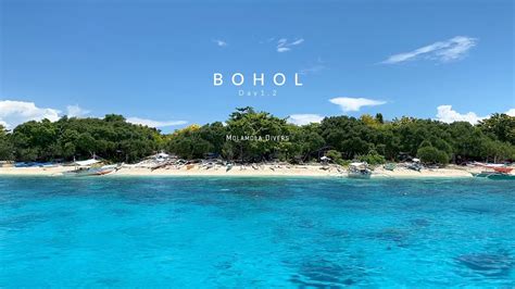 보홀 스쿠버 다이빙 여행 Day 1 2발리카삭 잭피쉬 떼온다이브 Youtube