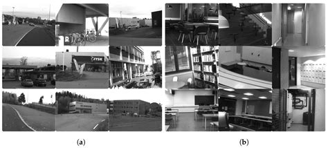 Raw Spectral Filter Array Imaging For Scene Recognition