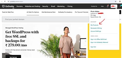 How To Change Godaddy Domain DNS To Point To Your Own Hosting PlutoWebs