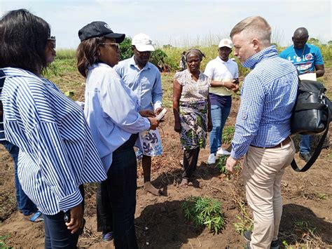 Modernisation de la chaîne de transformation du manioc lambassade d