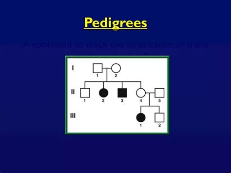 Ppt Pedigrees Powerpoint Presentation Free Download Id6538525