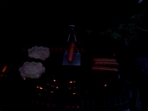 Pictures Of A Roasted Weenie Myconfinedspace