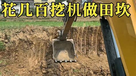 花几百请挖机做田坎，有人说那几年的就白种了，那到底值不值？【蟹老板开挖机 谢挖挖】 Youtube