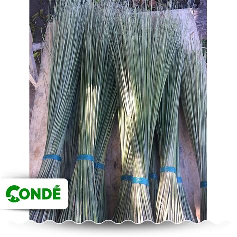 Ano Ang Walis Na Gawa Sa Dahon Ng Niyog