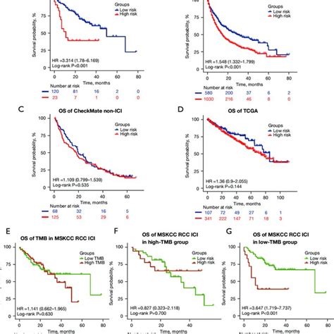External Validation Of The Mutation Classifier In The Ici Therapy And