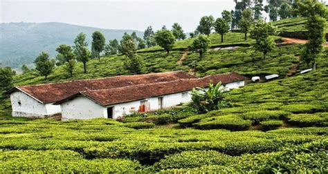 South India Tour Packages Best Free Photo On Pixabay Pixabay